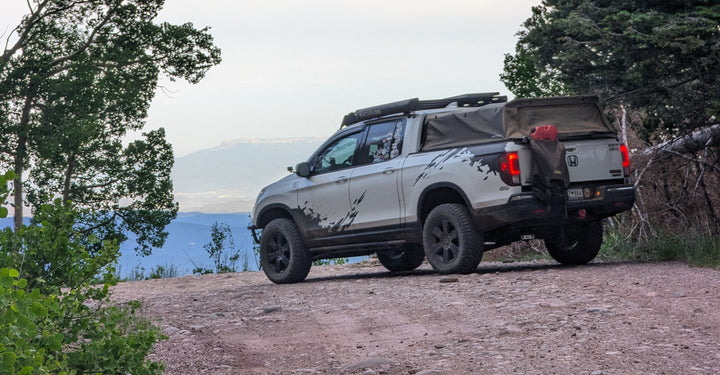 Collections – No-Lo Designs