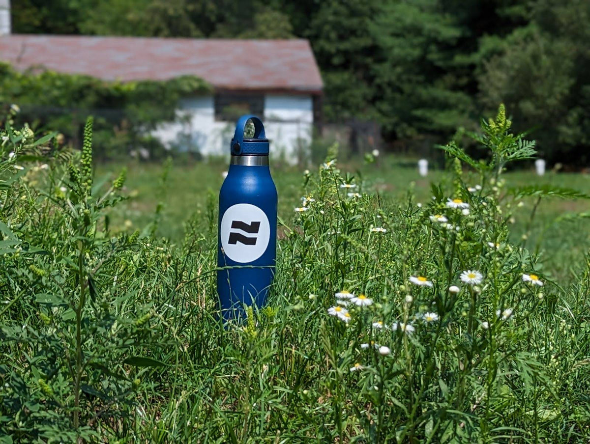 No-Lo "N" sticker decal – No-Lo Designs